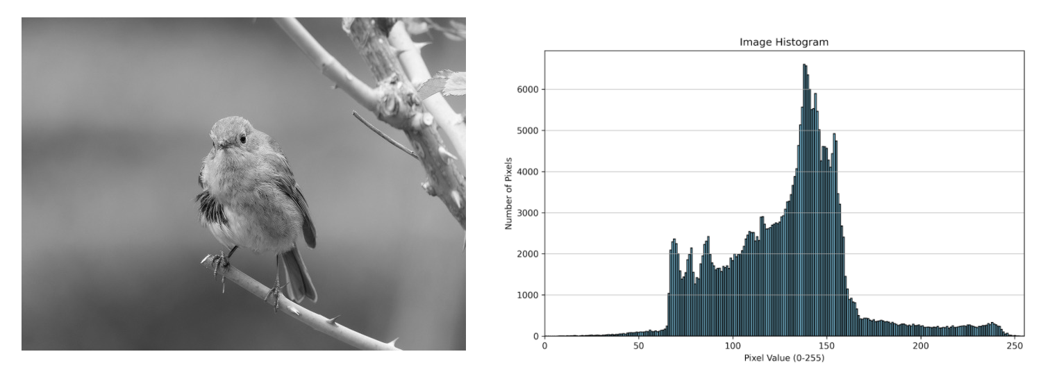 Histogram calculation with AI Engine in VCK190 – LogicTronix